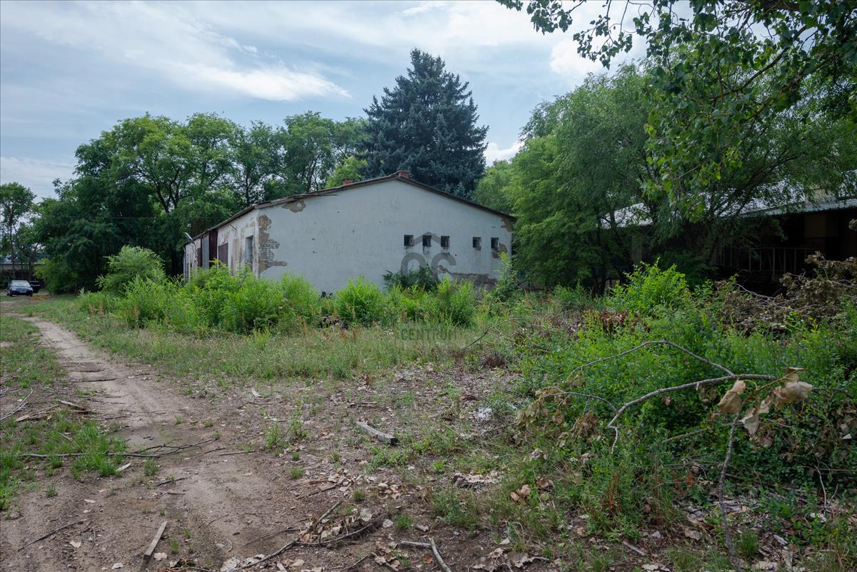 Eladó telek - Nagykálló (13539795)